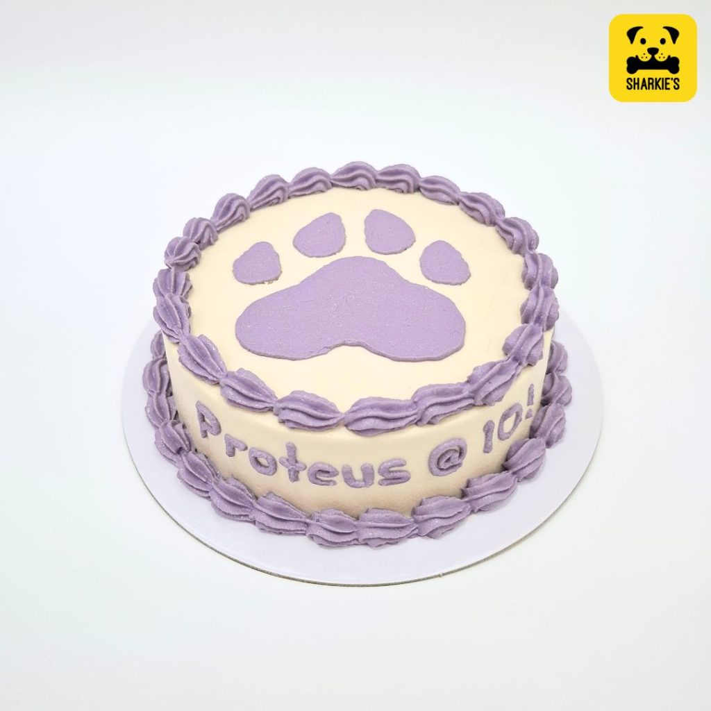 Big Paw Print Pet Birthday Cake - Sharkie's Adventure