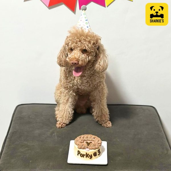 Poodle Face Pet Birthday Cake for Dog, Cat - Sharkie's Adventure
